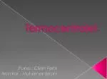 PPT - TERMOCENTRALET PowerPoint Presentation, free download - ID:5552467