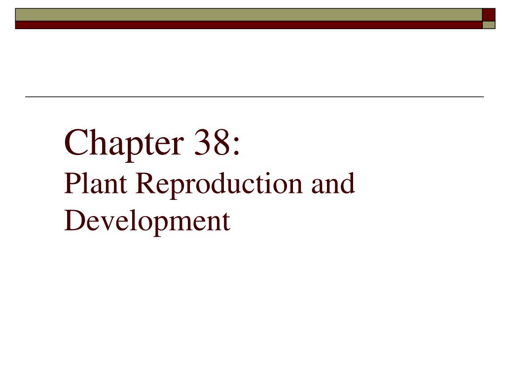 PPT - Chapter 38: Plant Reproduction and Development PowerPoint ...