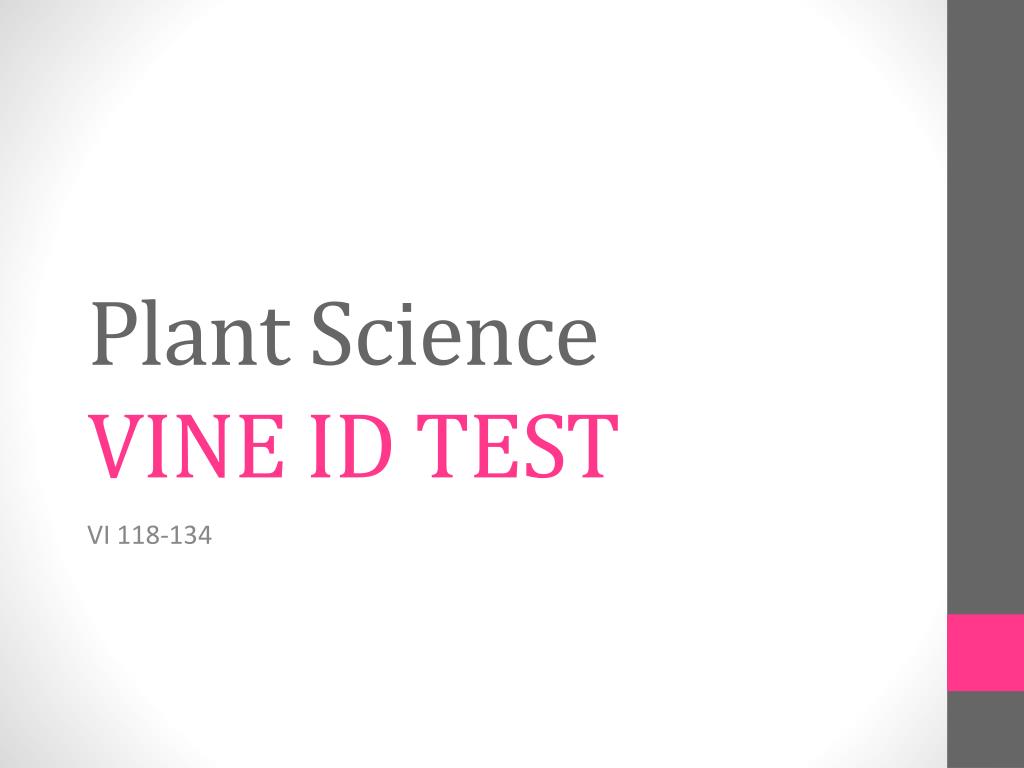 PPT - Plant Science VINE ID TEST PowerPoint Presentation, free download ...