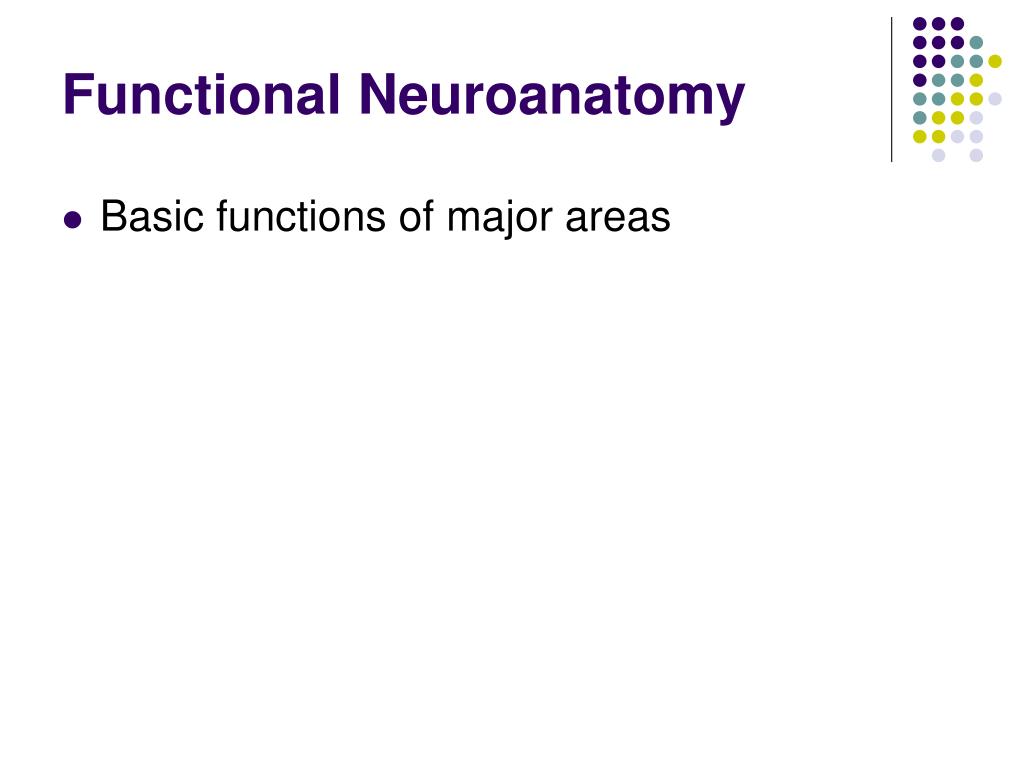 PPT - Functional Neuroanatomy PowerPoint Presentation, free download - ID:6303112