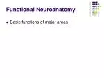 PPT - Bio 321 Neuroanatomy Dr. M. Yu PowerPoint Presentation, free ...