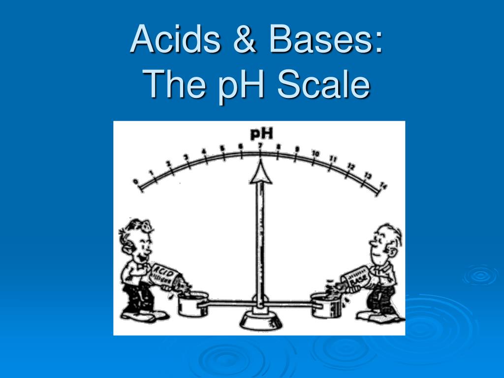 PPT - Acids & Bases: The pH Scale PowerPoint Presentation, free ...