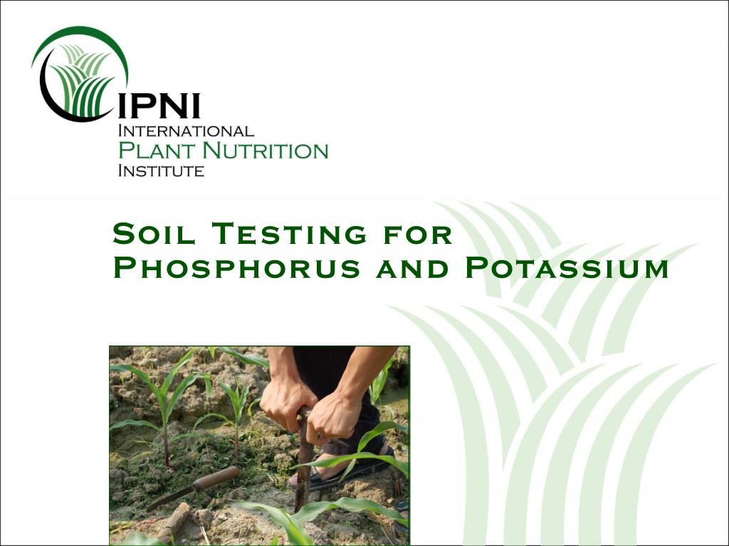 PPT - Soil Testing for Phosphorus and Potassium PowerPoint Presentation ...