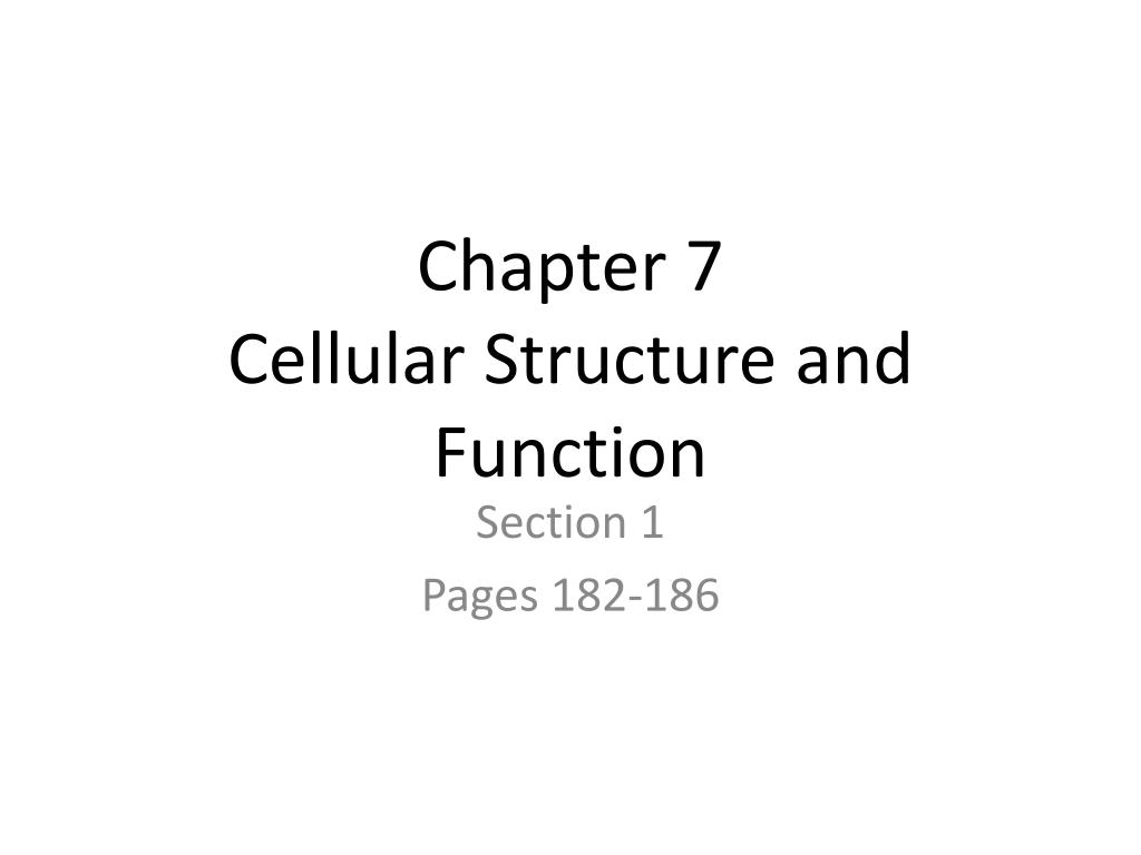 PPT - Chapter 7 Cellular Structure and Function PowerPoint Presentation - ID:6310546