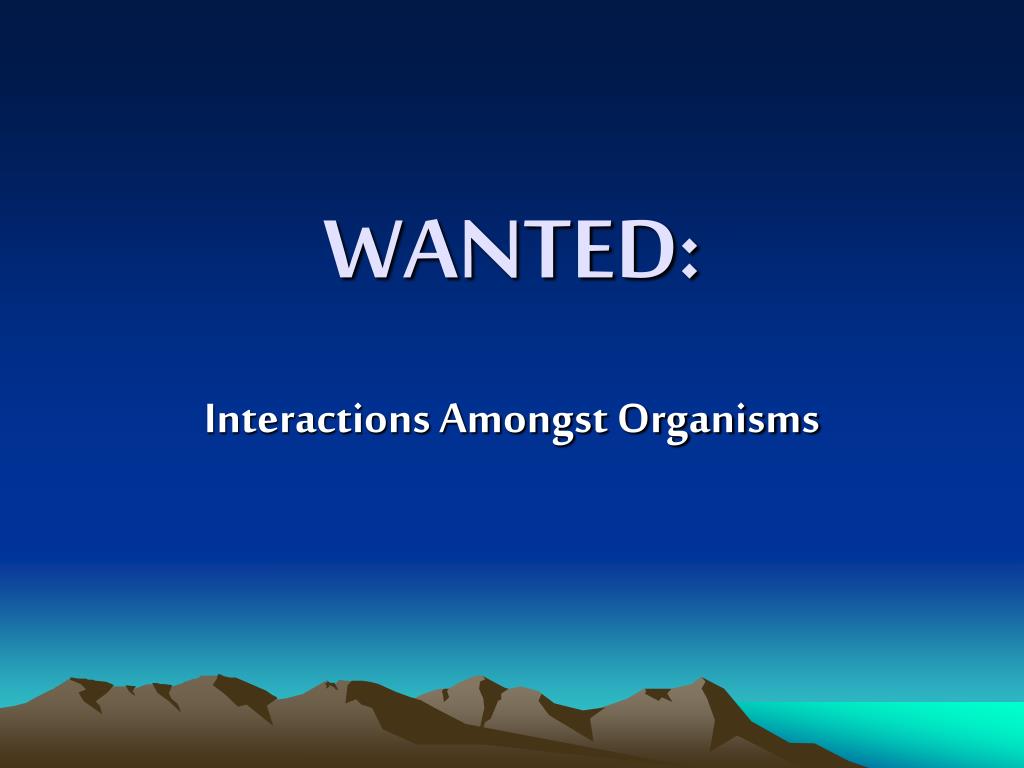 PPT - WANTED: PowerPoint Presentation, free download - ID:6310786