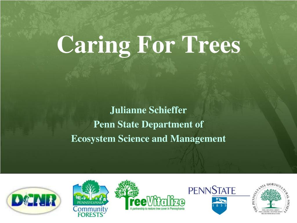 PPT - Caring For Trees PowerPoint Presentation, free download - ID:6313852
