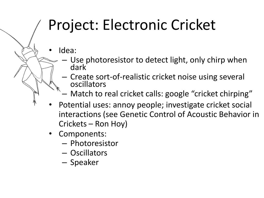 PPT - Project: Electronic Cricket PowerPoint Presentation, free ...