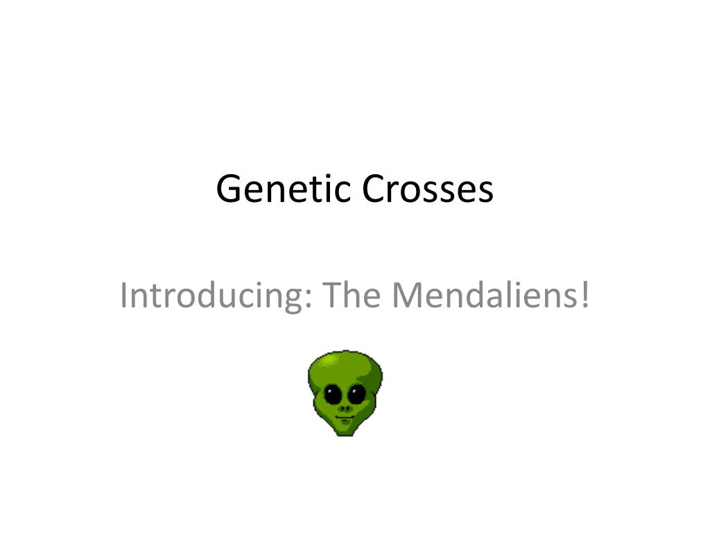 PPT - Genetic Crosses PowerPoint Presentation, free download - ID:6324583