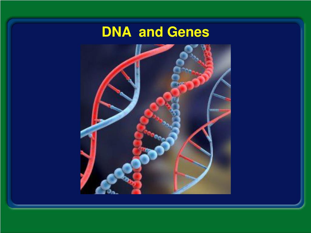 PPT - Chapter Intro-page 280 PowerPoint Presentation, free download ...