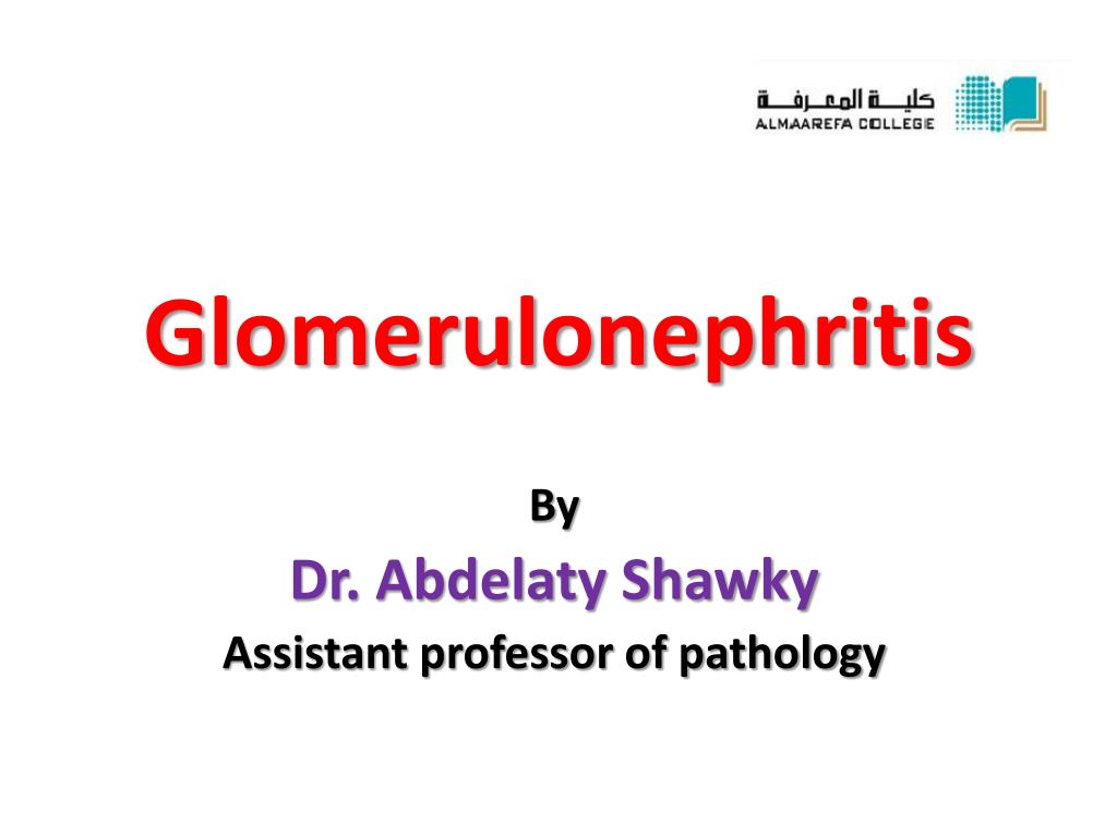 PPT - Glomerulonephritis PowerPoint Presentation, free download - ID:6331847