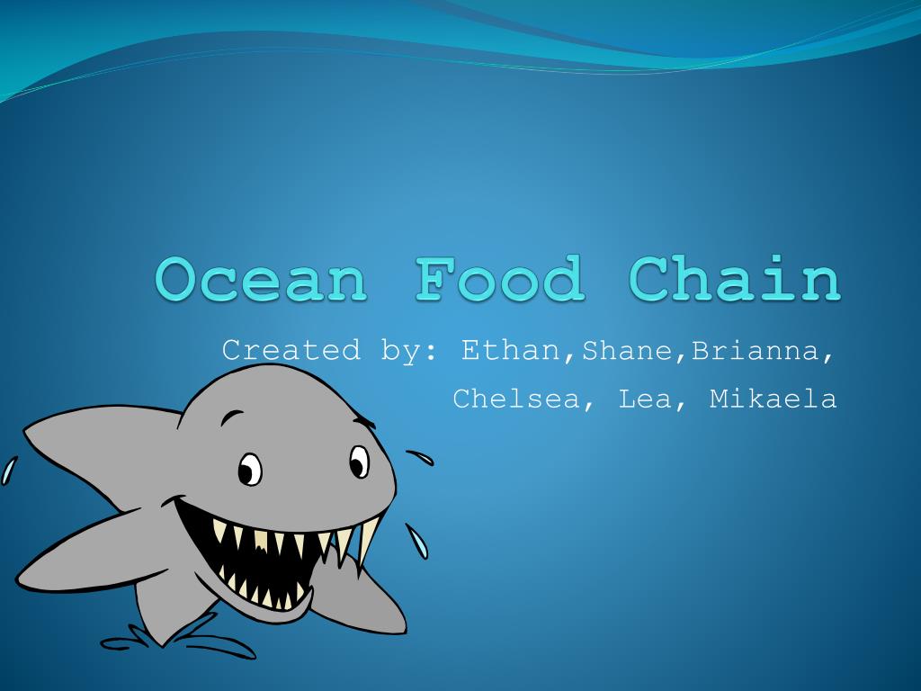 PPT - Ocean Food Chain PowerPoint Presentation, free download - ID:6343919