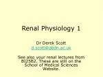 PPT - PHYSIOLOGY OF THE RENAL SYSTEM PowerPoint Presentation, free ...