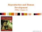 PPT - Chapter 4: Human Development PowerPoint Presentation, free ...