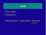 PPT - GAIT PowerPoint Presentation, free download - ID:714863