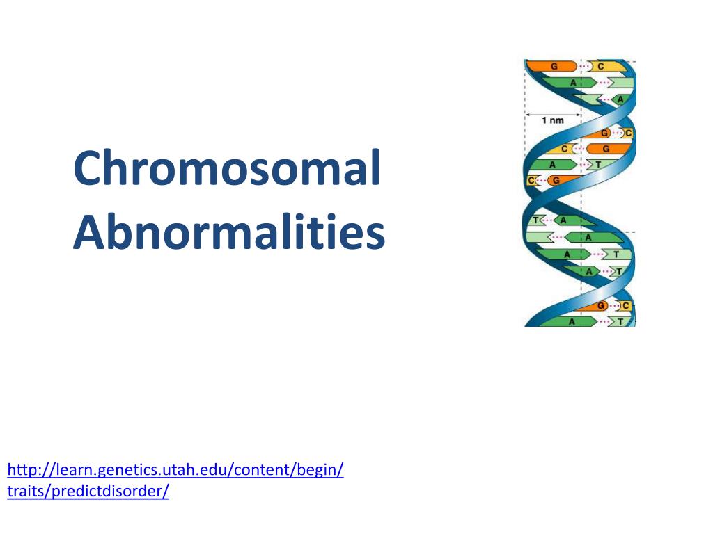 PPT - Chromosomal Abnormalities PowerPoint Presentation, free download ...