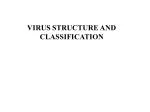 PPT - Virus structure, classification and replication PowerPoint ...