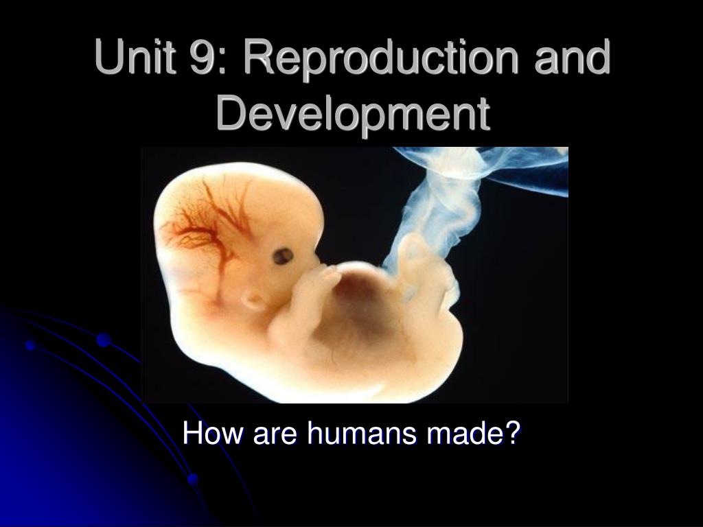 PPT - Unit 9: Reproduction and Development PowerPoint Presentation ...