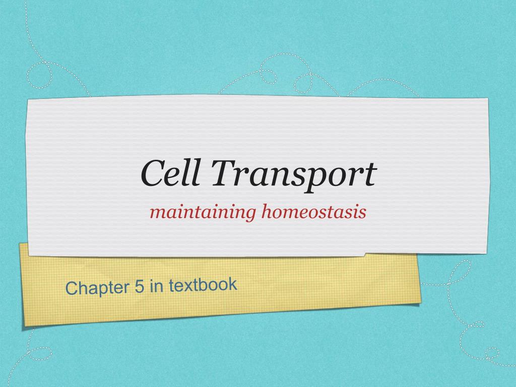 PPT - Cell Transport PowerPoint Presentation, free download - ID:6365431