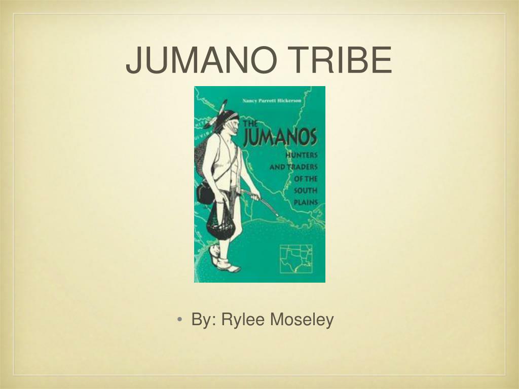 PPT - JUMANO TRIBE PowerPoint Presentation, free download - ID:6366146