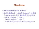 PPT - MEMBRANE PHYSIOLOGY PowerPoint Presentation, free download - ID ...