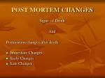 PPT - POST MORTEM INTERVAL PowerPoint Presentation, free download - ID:3012503