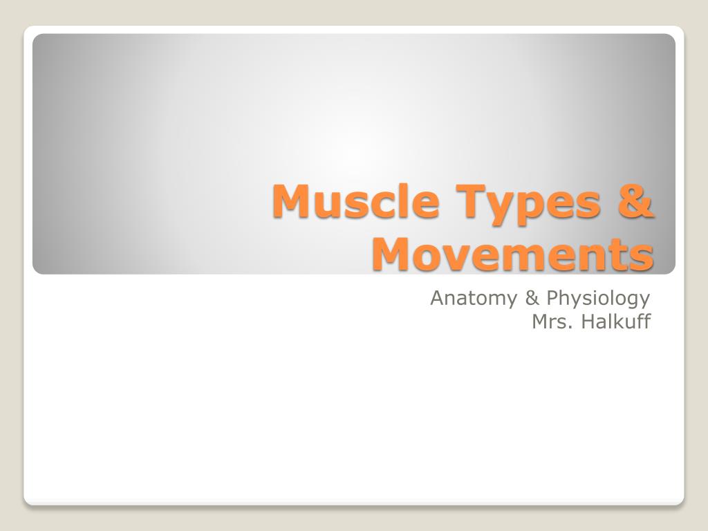 PPT - Muscle Types & Movements PowerPoint Presentation, free download ...
