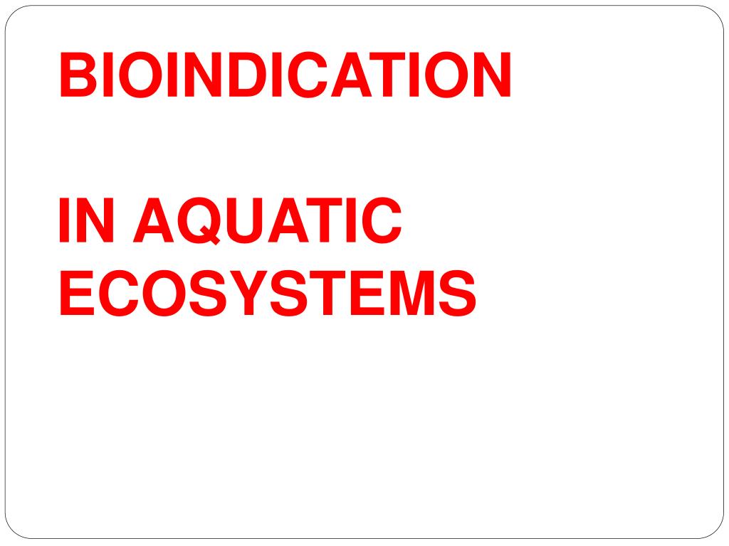 PPT - Understanding Fish as Bioindicators in Aquatic Ecosystems ...