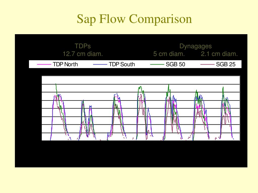 PPT - Sap Flow Comparison PowerPoint Presentation, free download - ID ...
