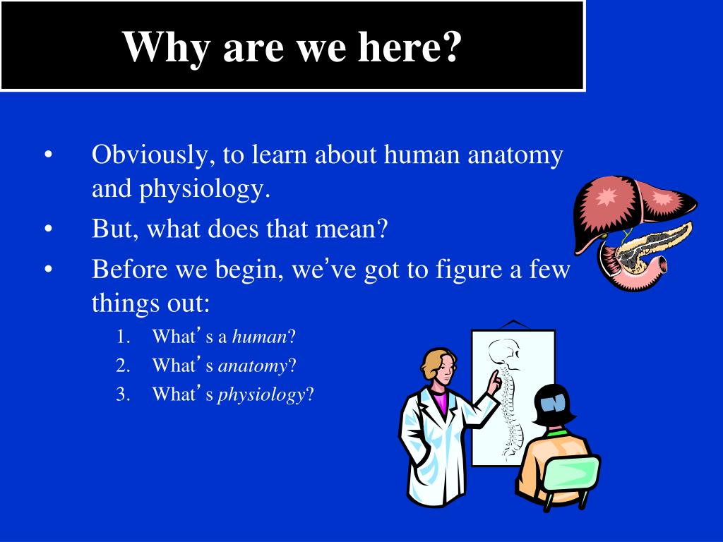 PPT - Why are we here? PowerPoint Presentation, free download - ID:6378116