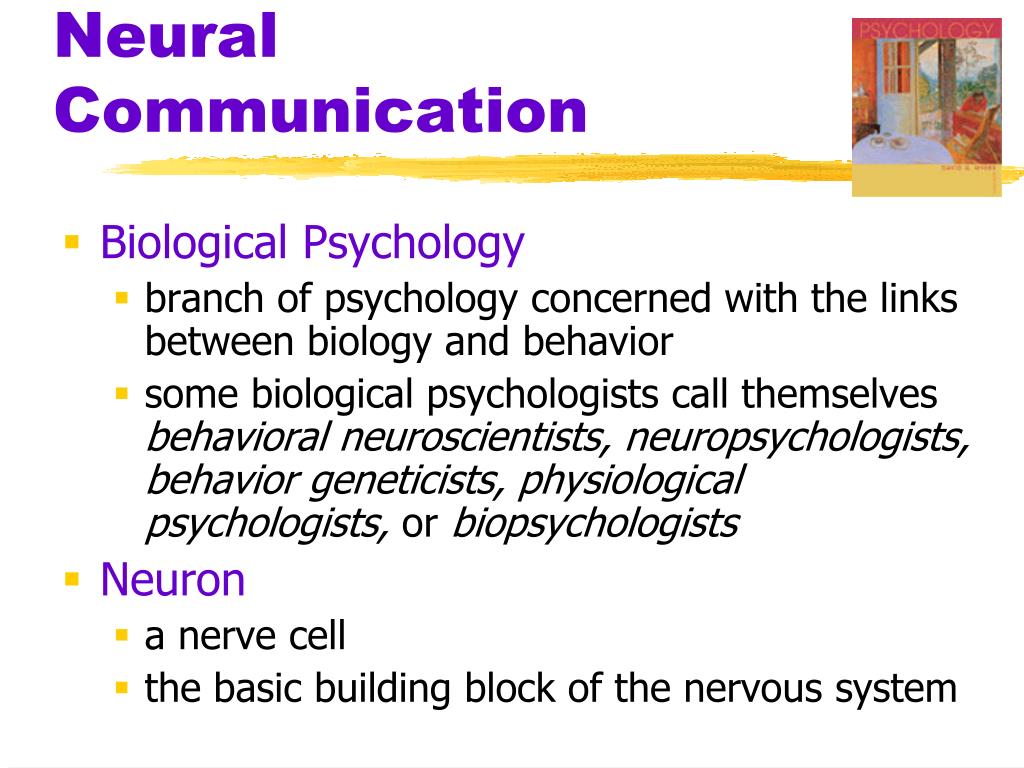 PPT - Neural Communication PowerPoint Presentation, free download - ID ...