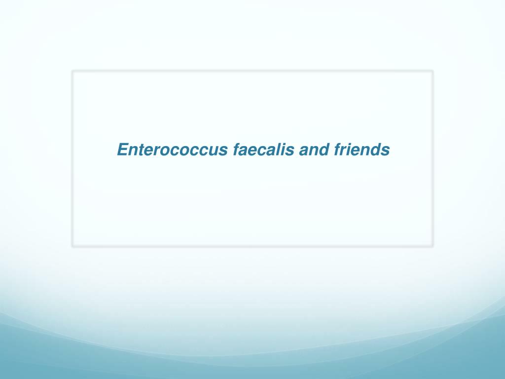 PPT - Enterococcus faecalis and friends PowerPoint Presentation, free ...