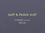 PPT - Branded VoIP Mobile Dialer for VoIP Provider PowerPoint ...