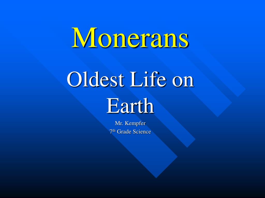 PPT - Monerans PowerPoint Presentation, free download - ID:6384625