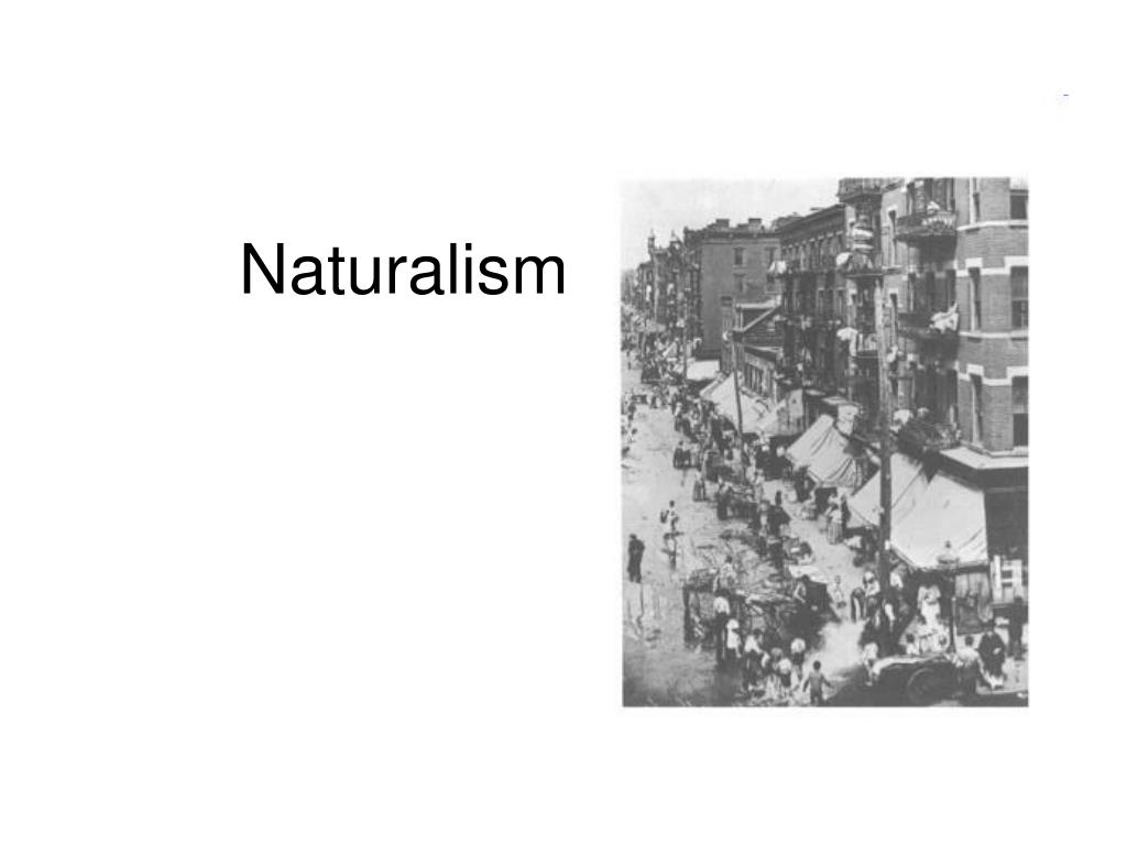 PPT - Naturalism PowerPoint Presentation, free download - ID:6384711