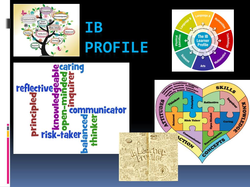 PPT - IB profile PowerPoint Presentation, free download - ID:6385580