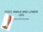 PPT - Ankle, Lower Leg Lab PowerPoint Presentation, free download - ID ...