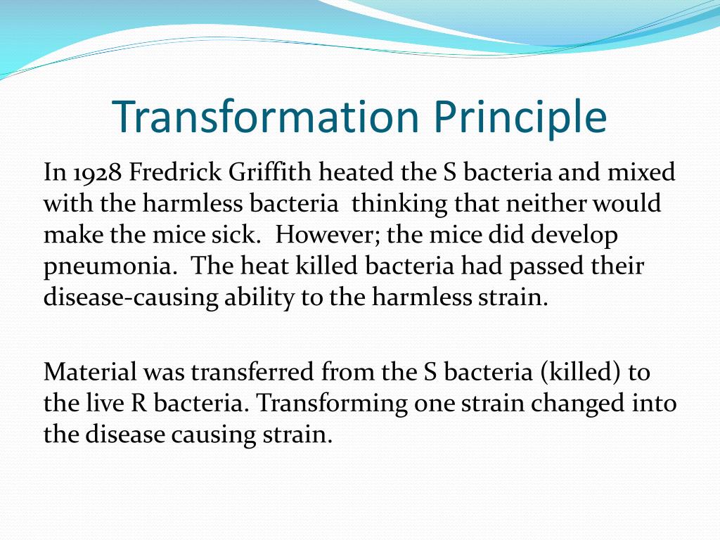PPT - Transformation Principle PowerPoint Presentation, free download ...