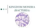 PPT - Kingdom Monera PowerPoint Presentation, free download - ID:1863993