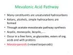 PPT - Uronic Acid Pathway PowerPoint Presentation, free download - ID ...