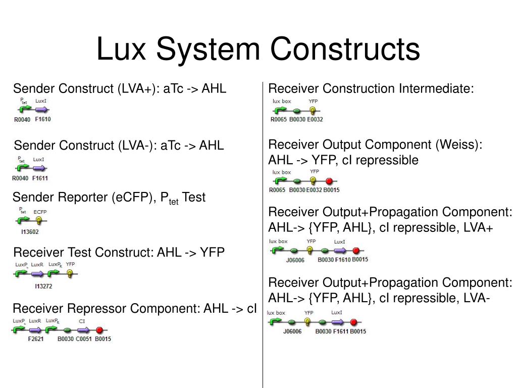 PPT - Lux System Constructs PowerPoint Presentation, free download - ID ...