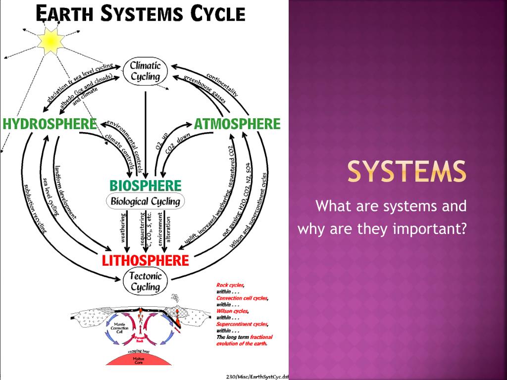 PPT - Understanding Systems and Their Importance PowerPoint ...
