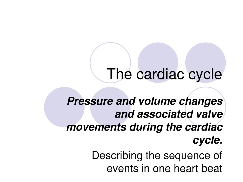 PPT - The cardiac cycle PowerPoint Presentation, free download - ID:6402737