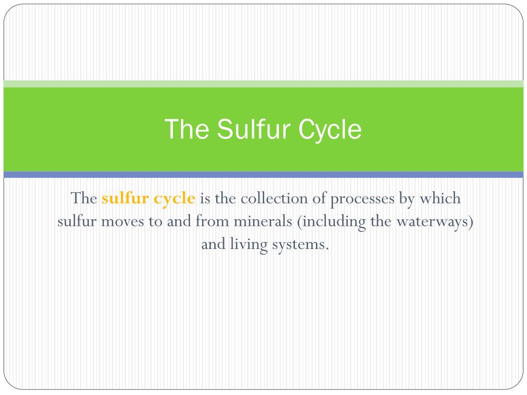 PPT - The Sulfur Cycle PowerPoint Presentation, free download - ID:6402830