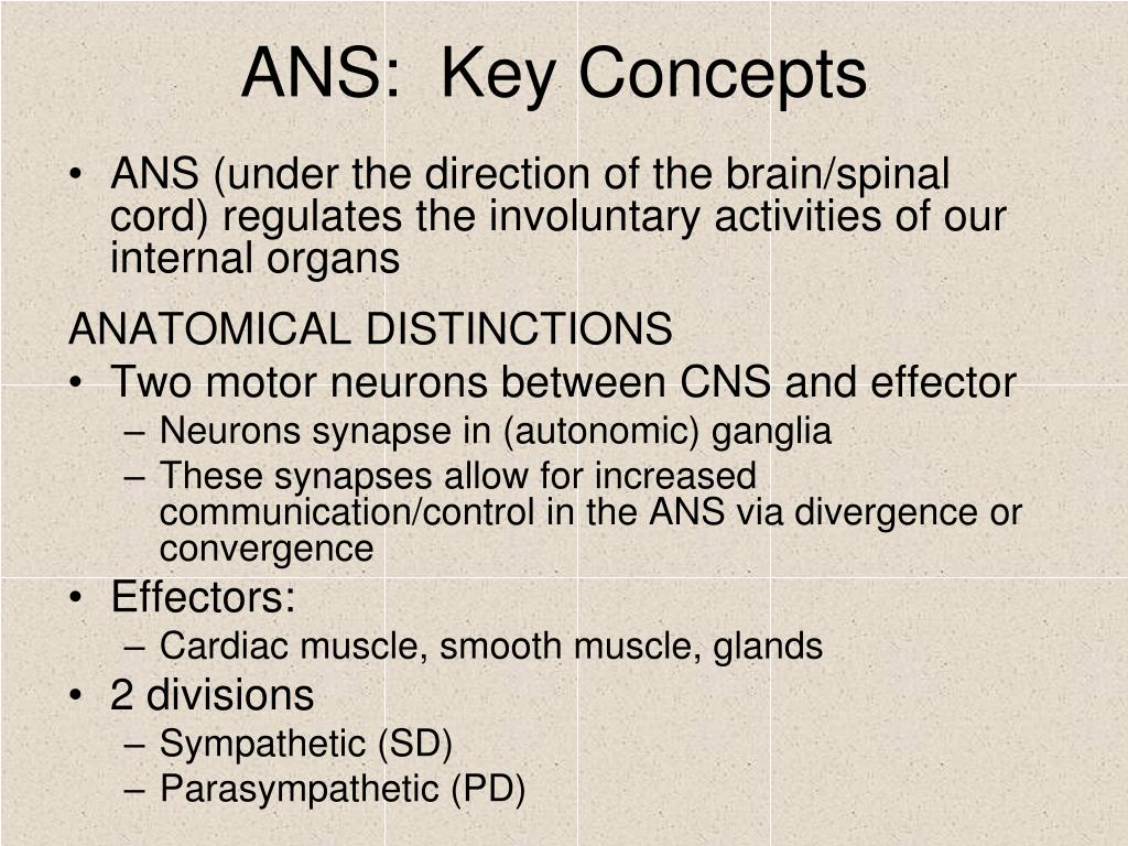 PPT - ANS: Key Concepts PowerPoint Presentation, free download - ID:6407266