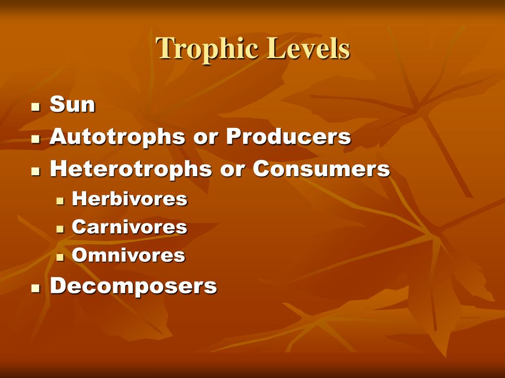 PPT - Trophic Levels PowerPoint Presentation, free download - ID:6407945