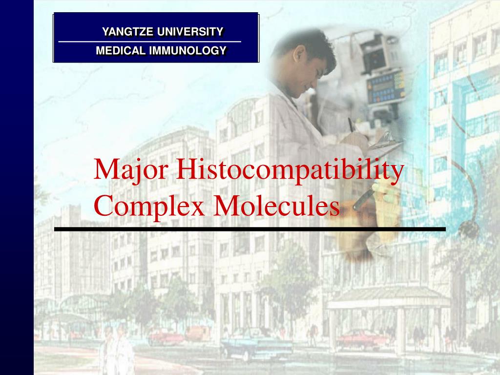 PPT - Major Histocompatibility Complex Molecules PowerPoint ...