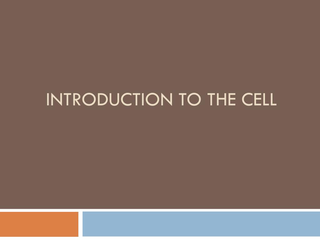 PPT - INTRODUCTION TO THE CELL PowerPoint Presentation, free download ...