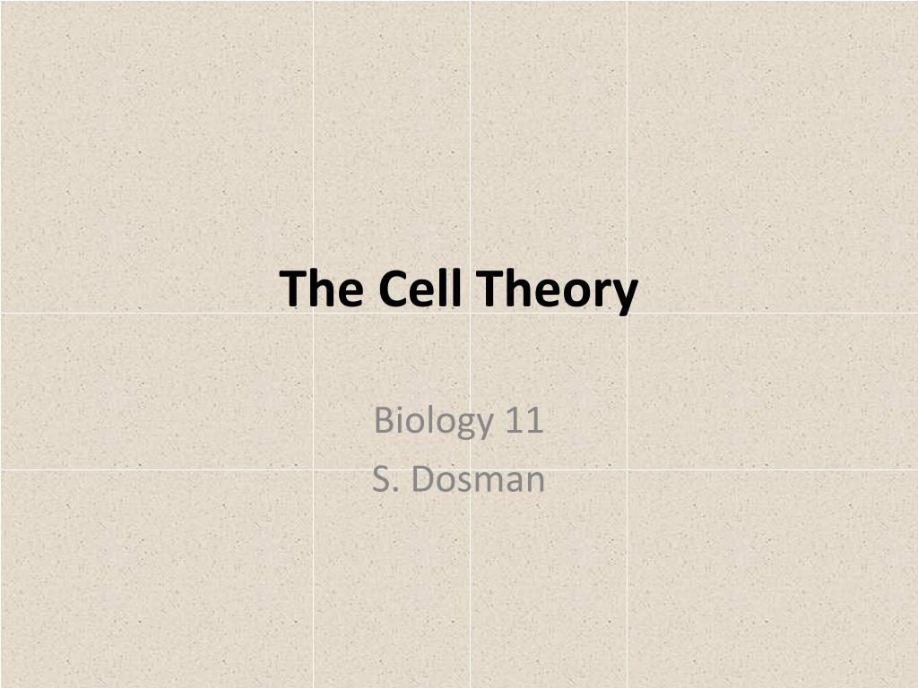 PPT - The Cell Theory PowerPoint Presentation, free download - ID:6446199