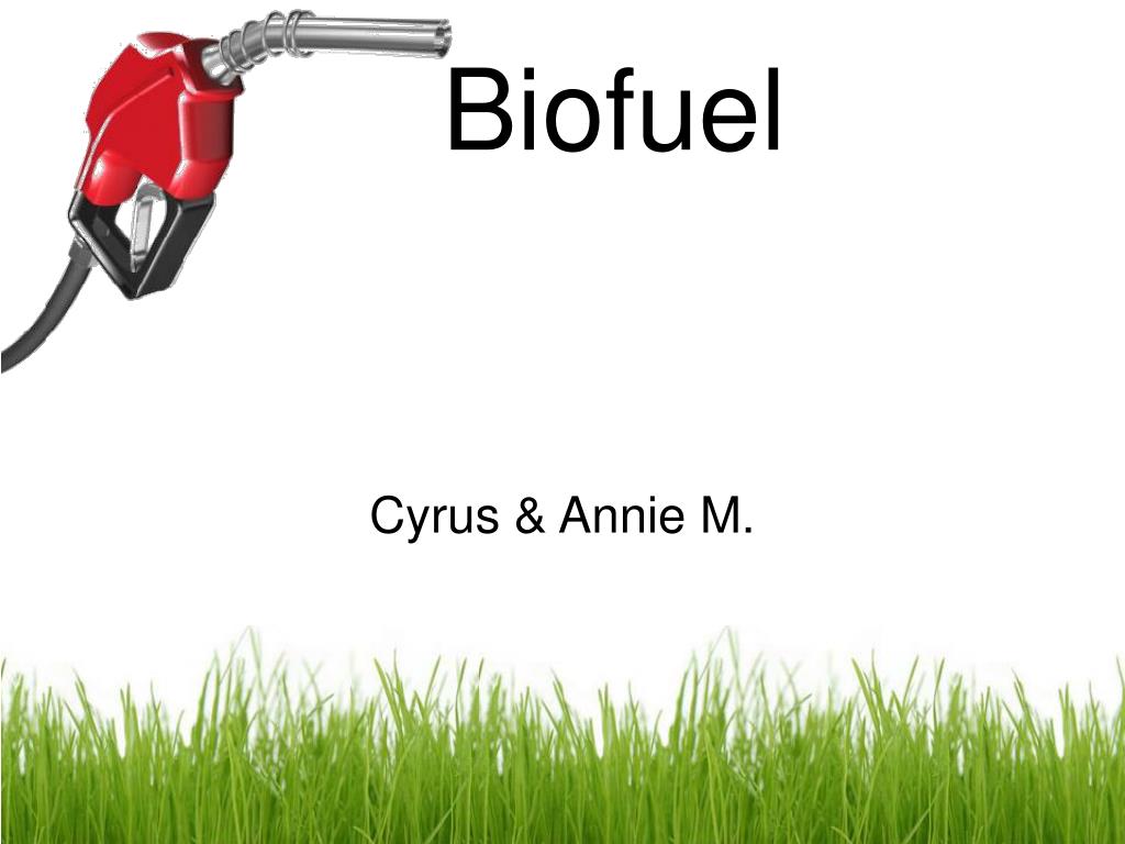 PPT - Biofuel PowerPoint Presentation, free download - ID:6447839