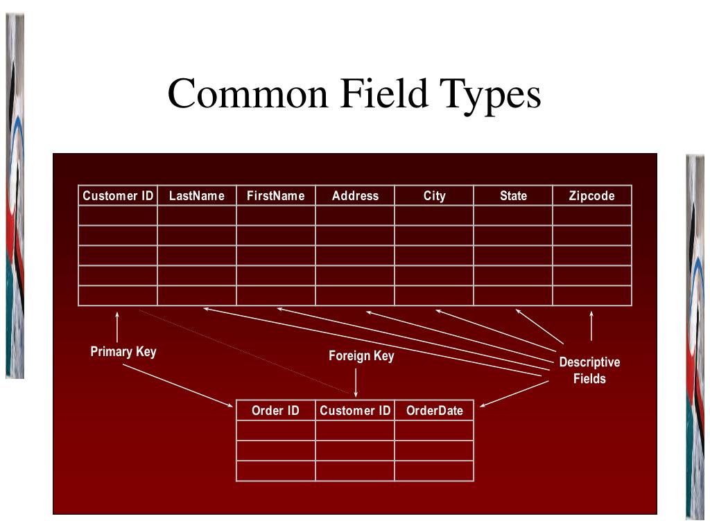 PPT - Common Field Types PowerPoint Presentation, free download - ID ...